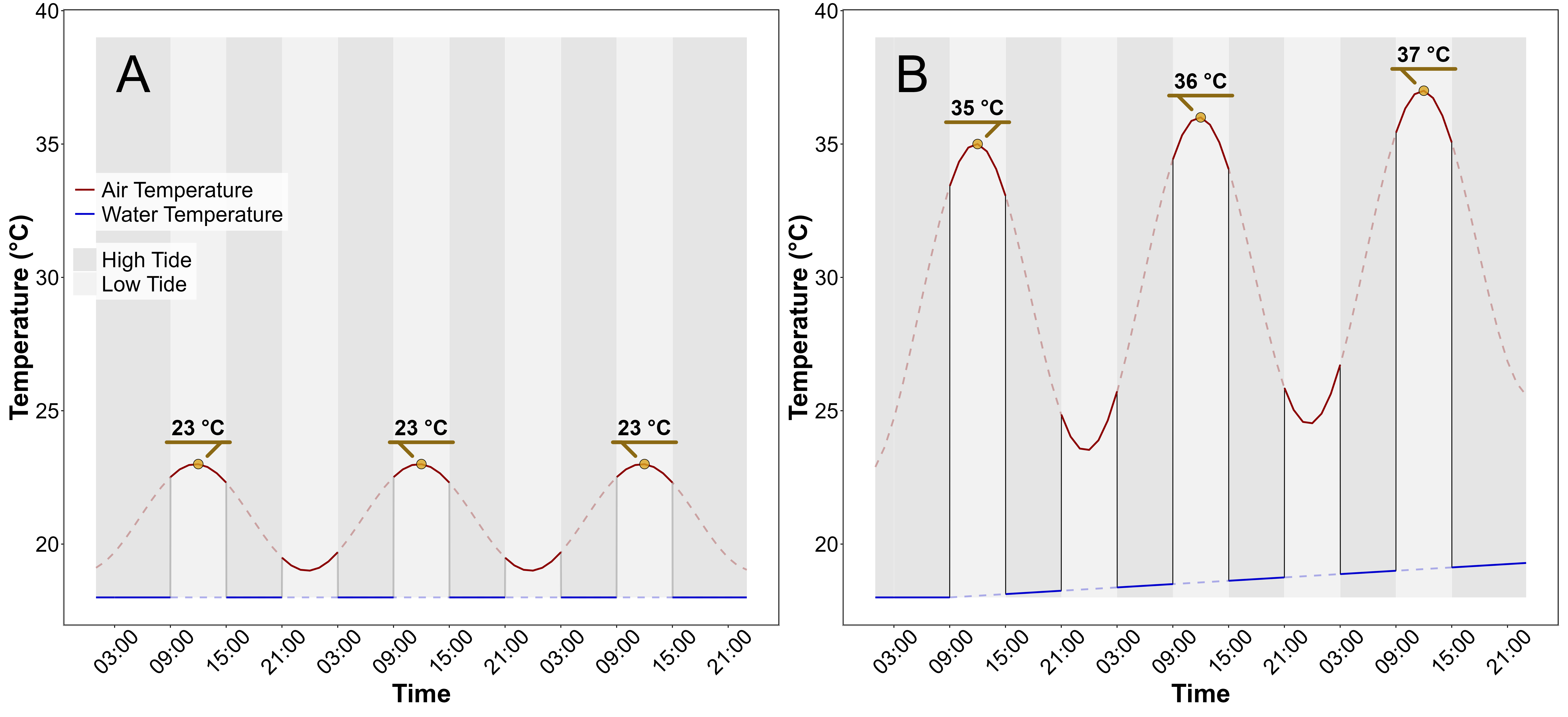 Heatwave impacts on intertidal seagrass reflectance: from laboratory experiment to satellite ...