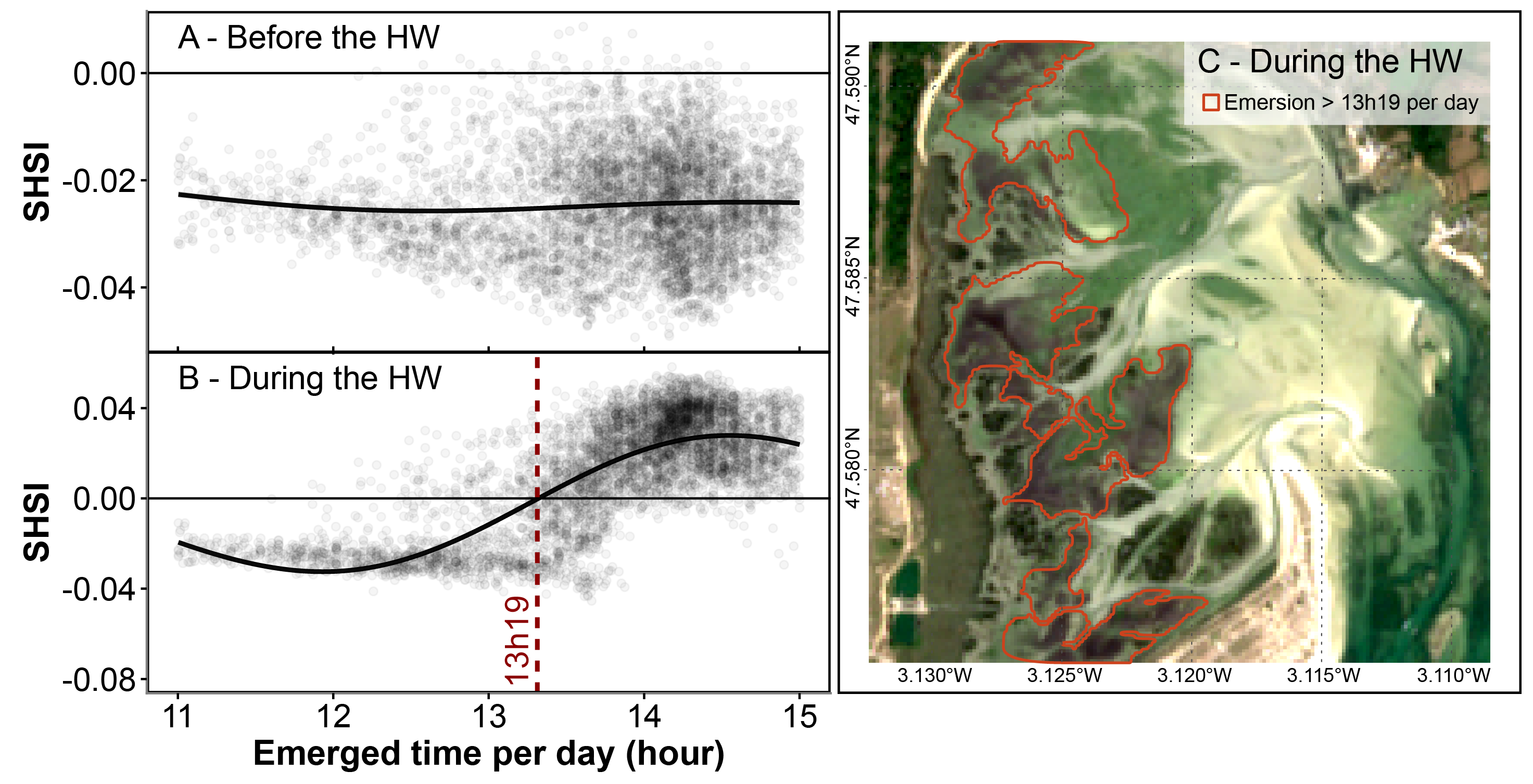 Heatwave impacts on intertidal seagrass reflectance: from laboratory experiment to satellite ...